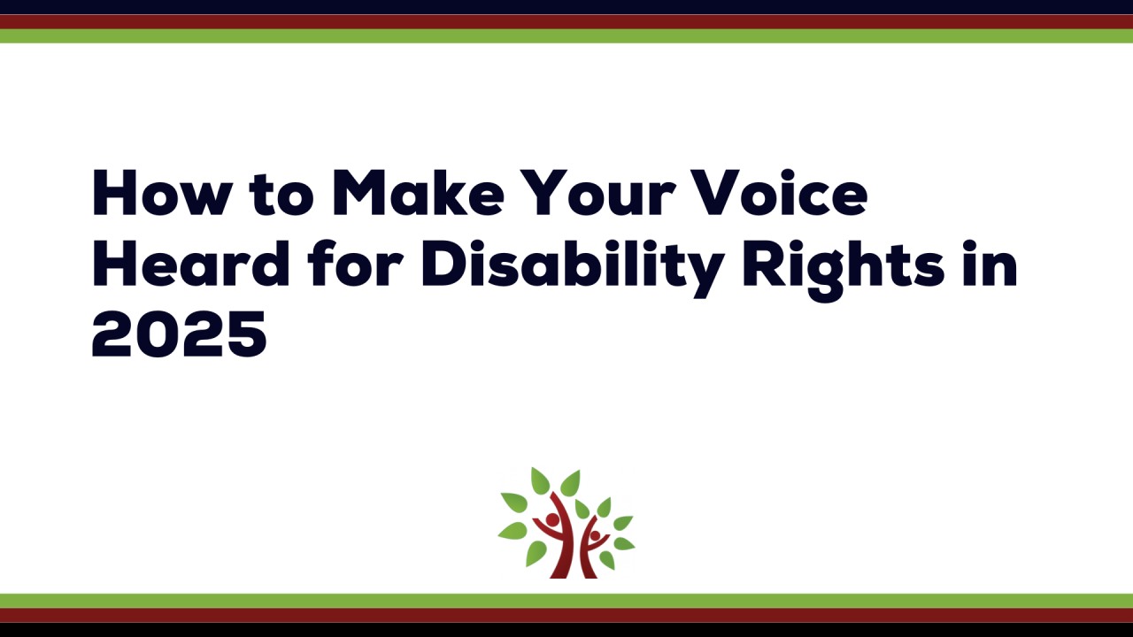 How to Make Your Voice Heard for Disability Rights in 2025 - A Life ...